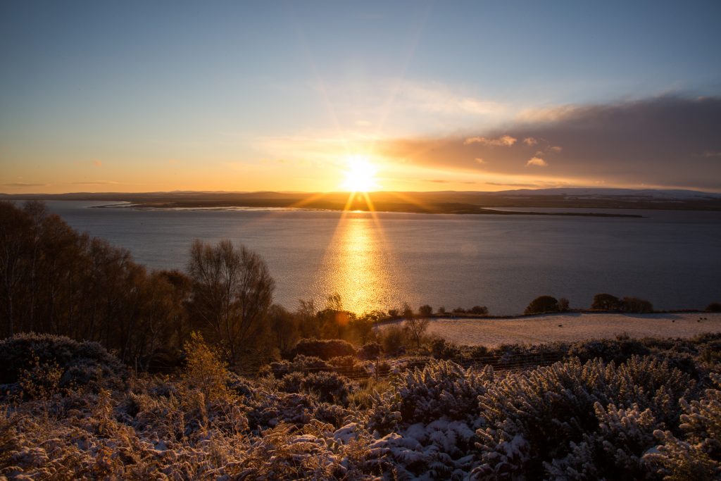 The Black Isle – Gayle Baird